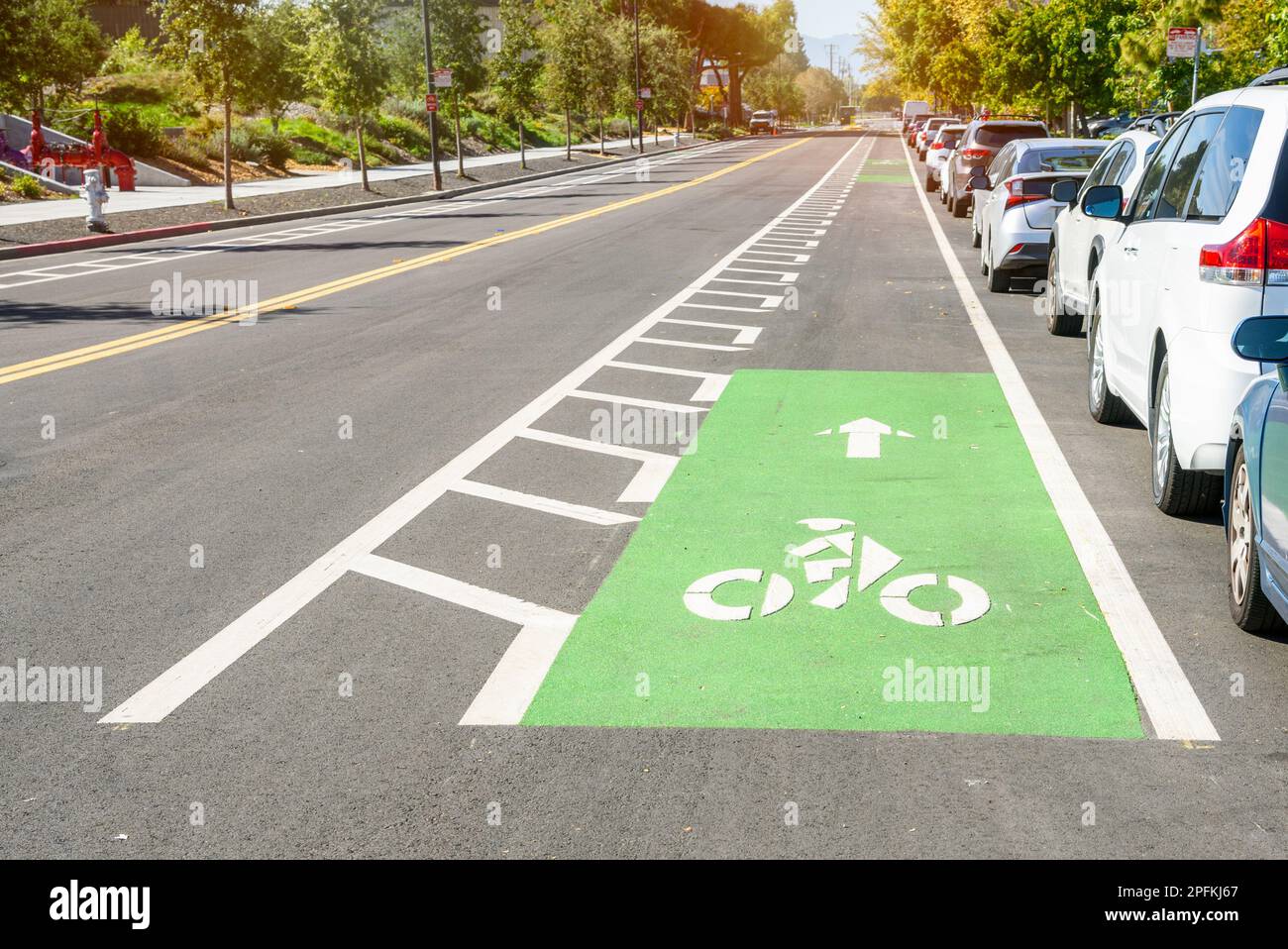 Empty bicycle lane along a road in a business park. Cars are parked ...
