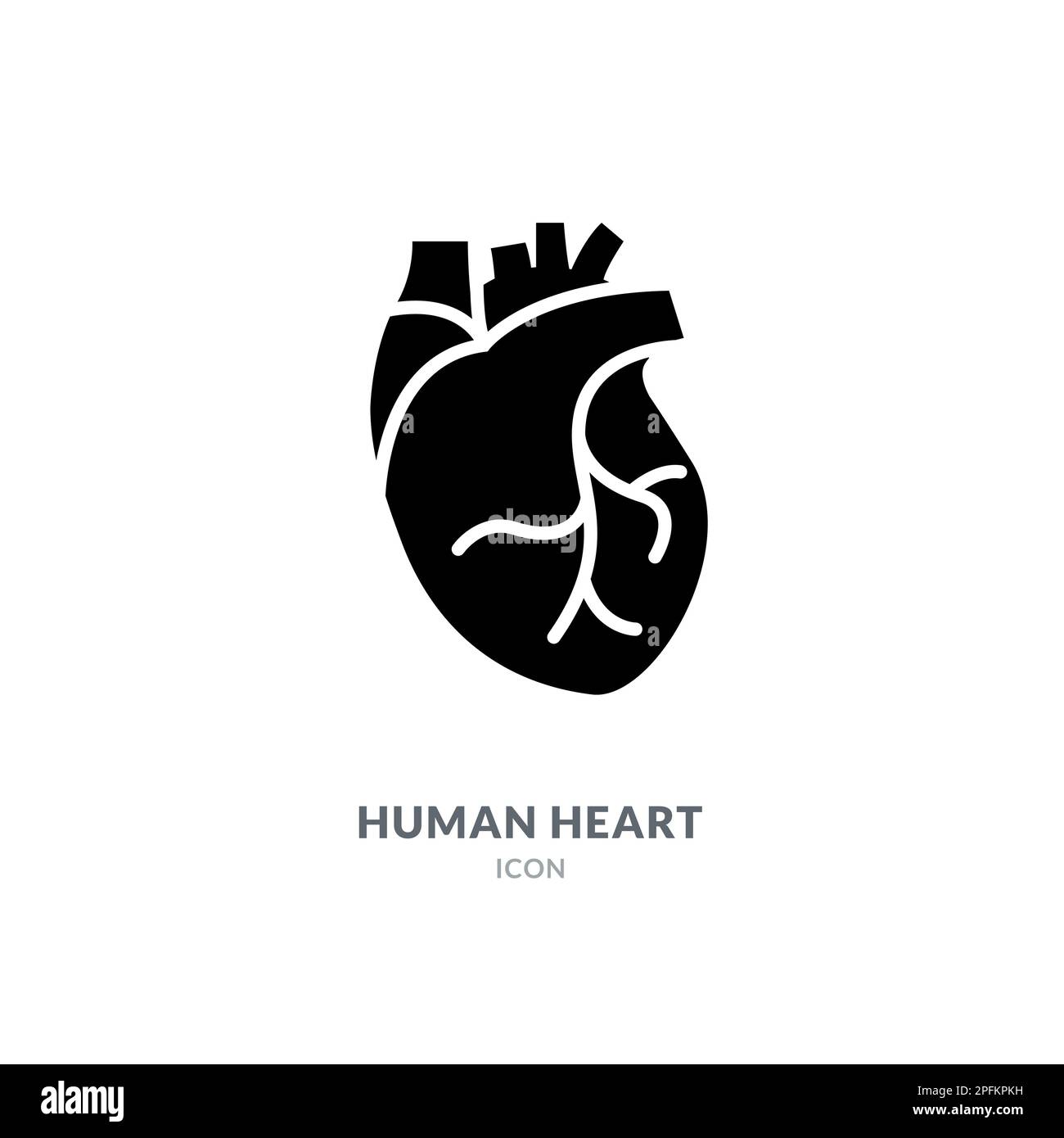 Human heart medical vector desease cardiovascular organ anatomy ...