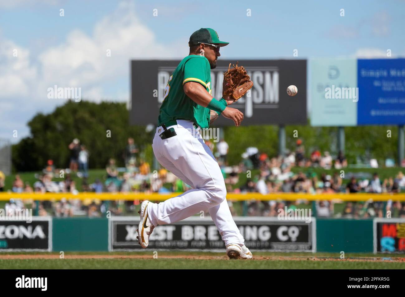 Oakland Athletics third baseman Jace Peterson reaches out to field a ...