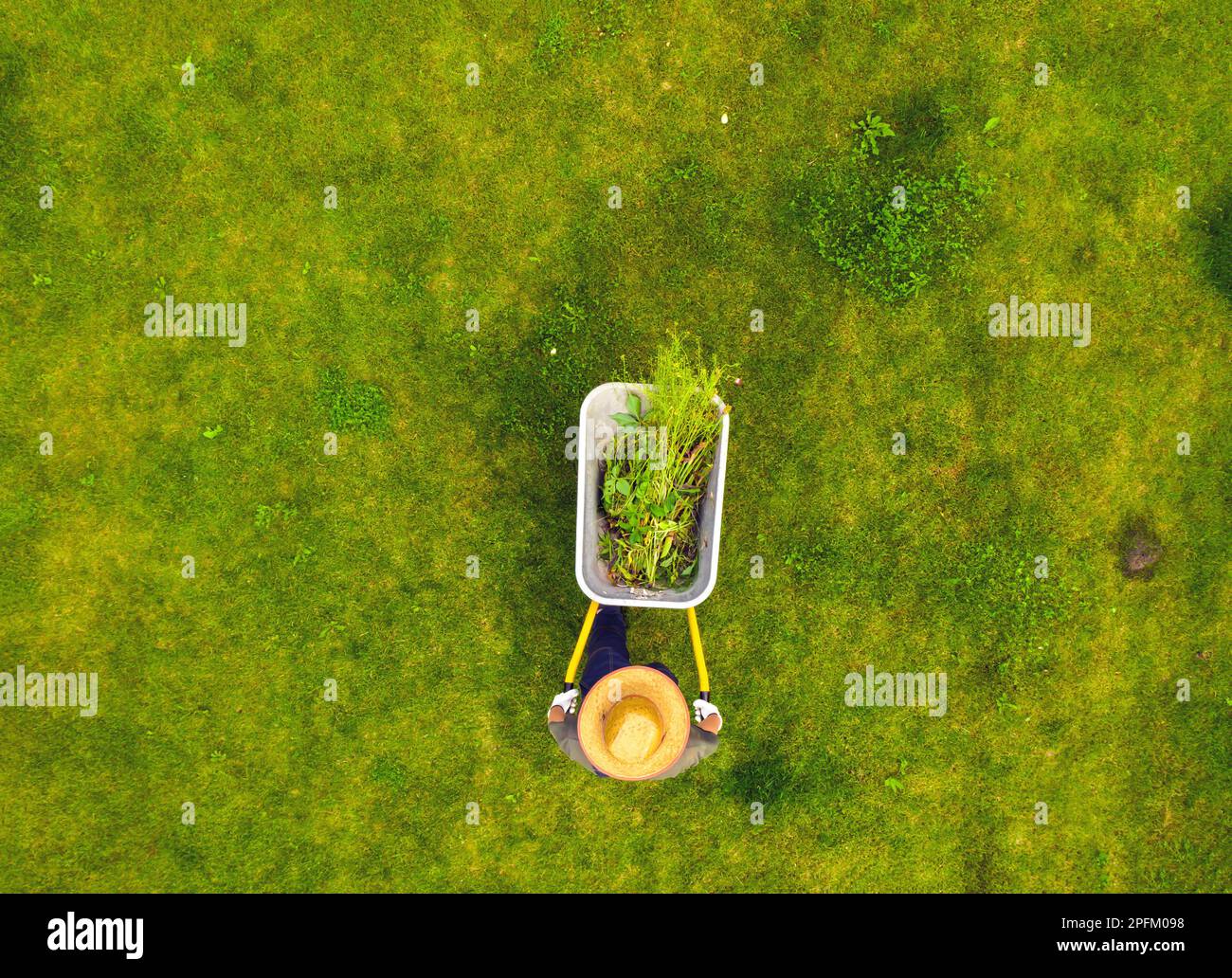 A gardener is carrying a wheelbarrow, from above view Stock Photo - Alamy