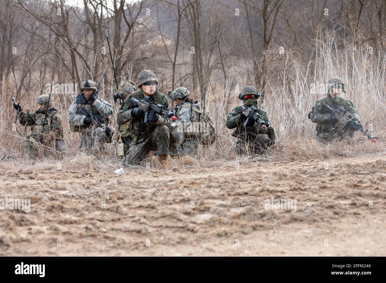 Soldiers assigned to B Company, 1st Battalion, 17th Infantry Regiment ...