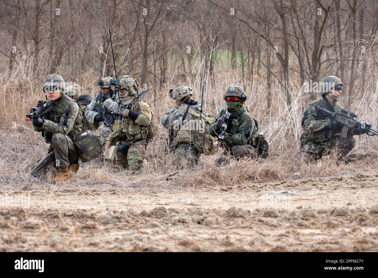 Soldiers assigned to B Company, 1st Battalion, 17th Infantry Regiment ...