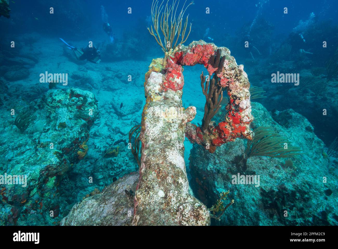 Divers explore the reef and 18th century anchor at the Proselyte dive ...