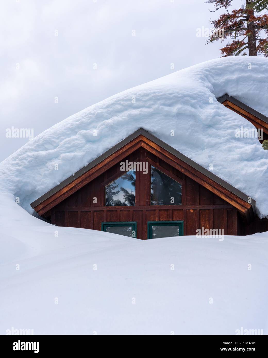 A mountain cabin buried under historic snow levels in Bear Valley ...