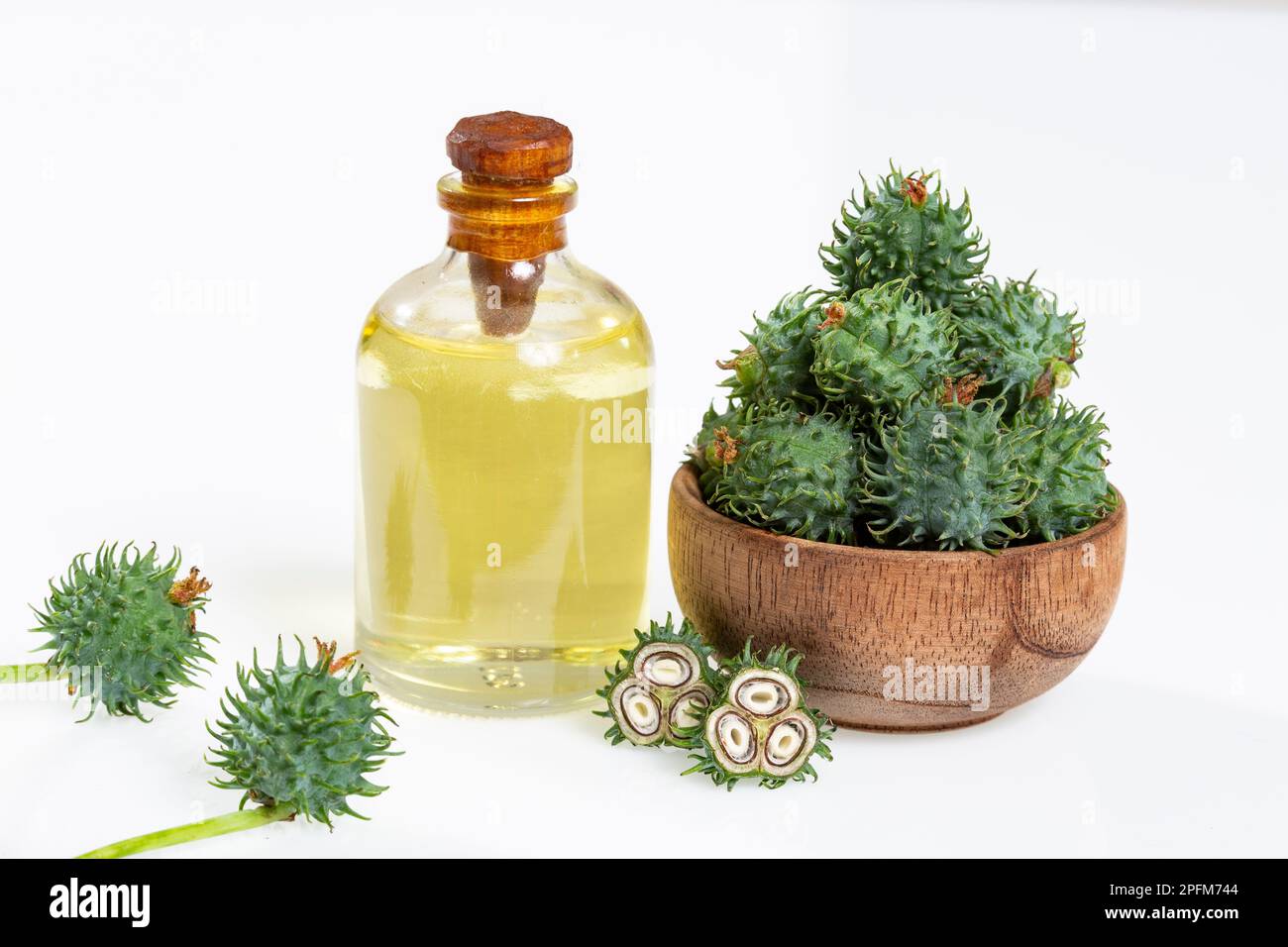 Fruits Green and castor oil - Ricinus communis Stock Photo - Alamy