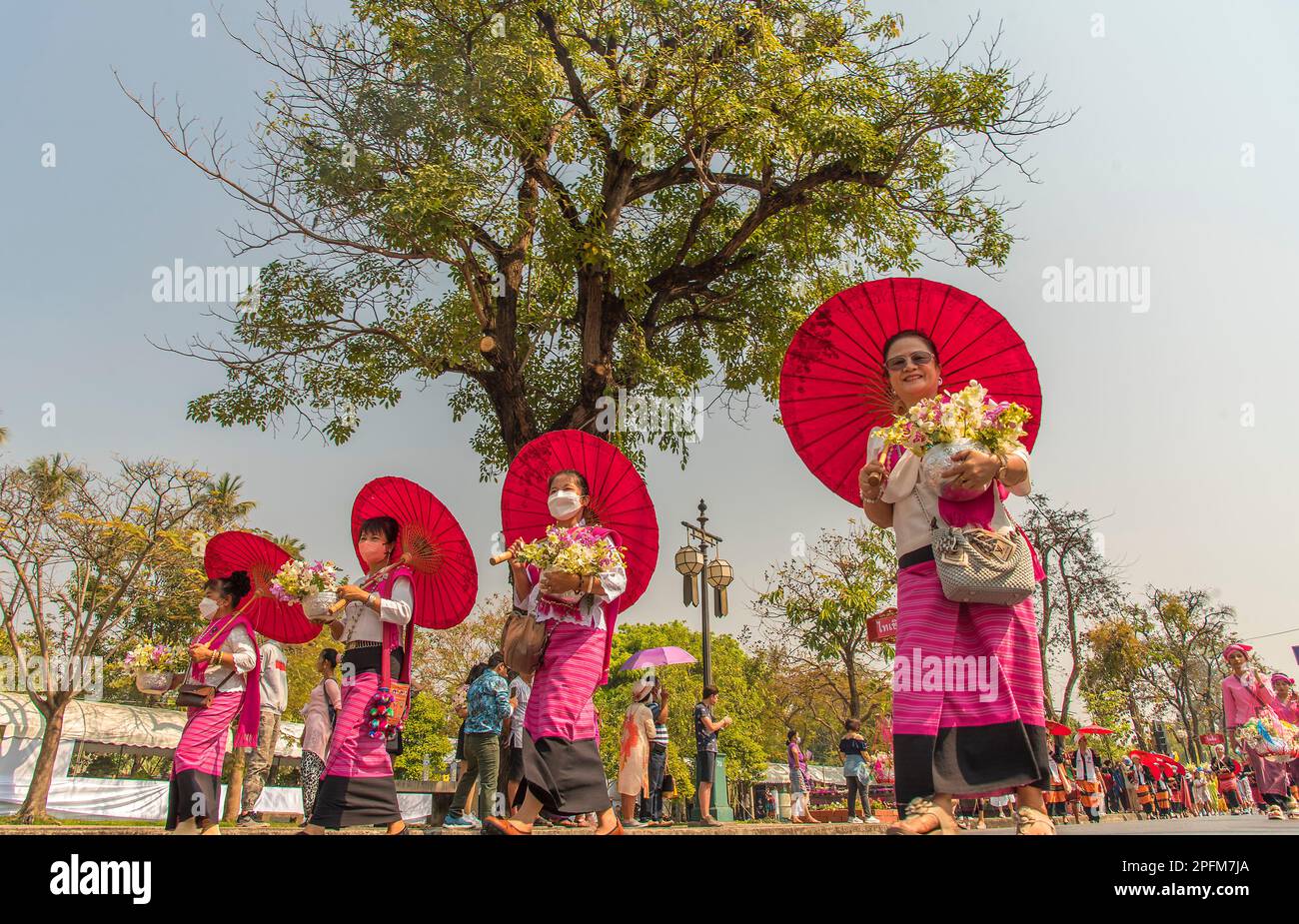 Women with parasols, Chiang Mai flower festival parade 2023 Thailand ...