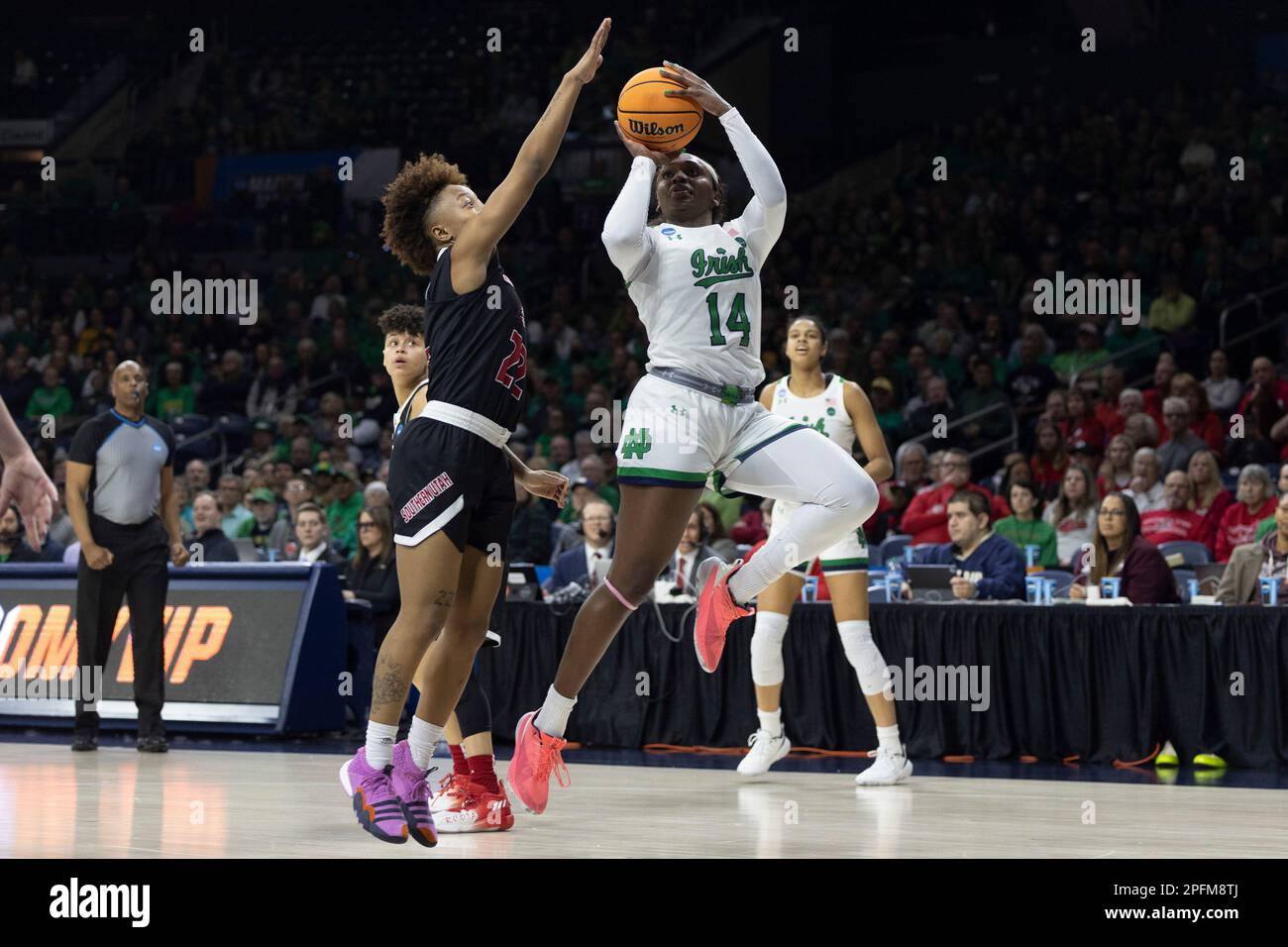 Ballena john hi-res stock photography and images - Alamy