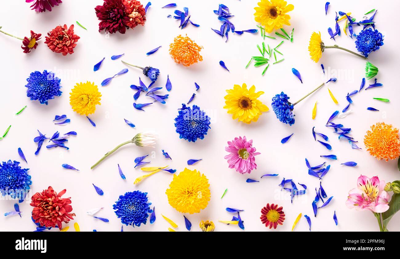 Colorful spring flowers background. different colorful spring flowers ...