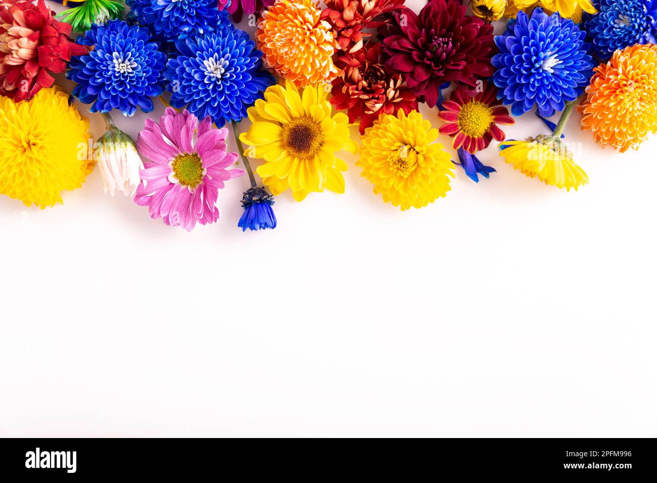 Colorful spring flowers top border on white background. Decoration ...
