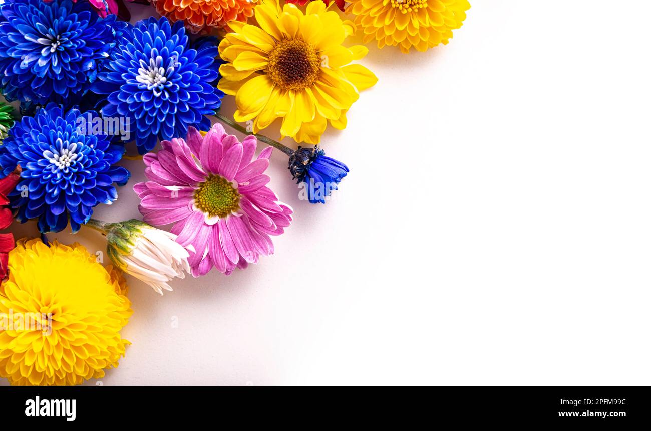 Spring Flower Corner Border