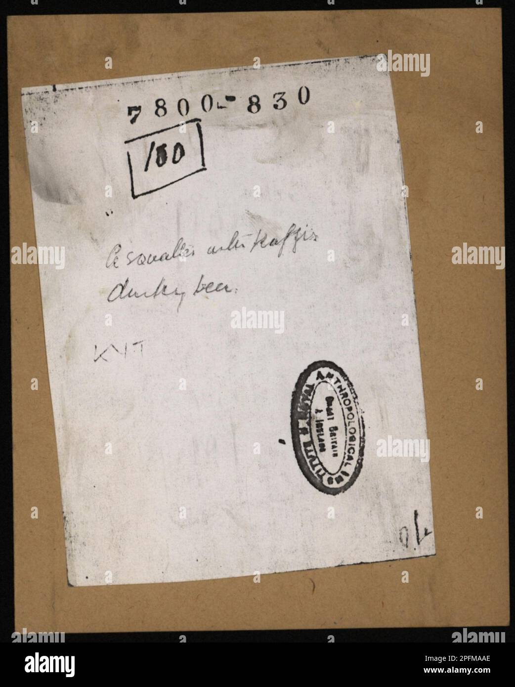 Historic beer drinking hi-res stock photography and images - Alamy