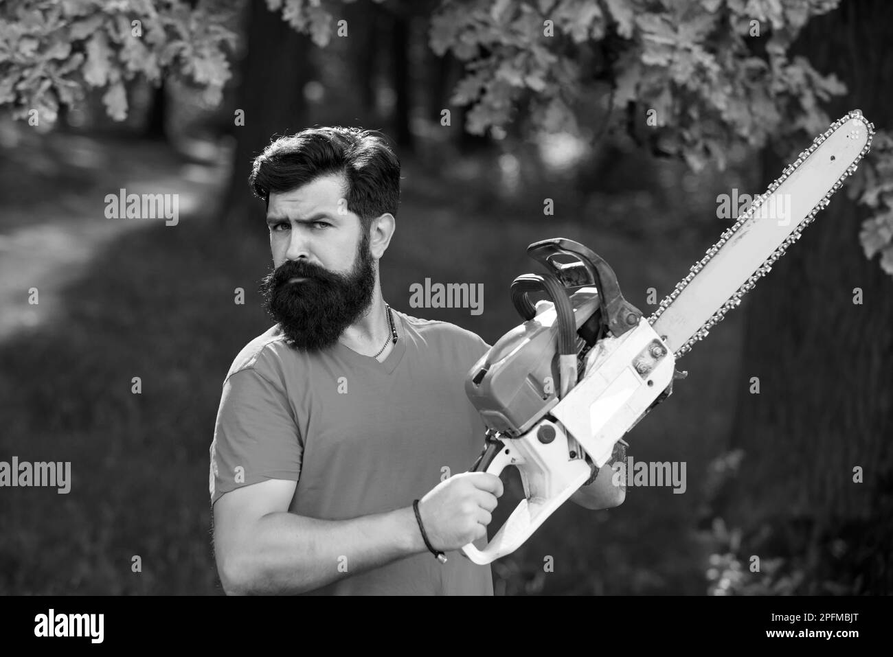 Logging. Firewood as a renewable energy source. Lumberjack in the woods ...