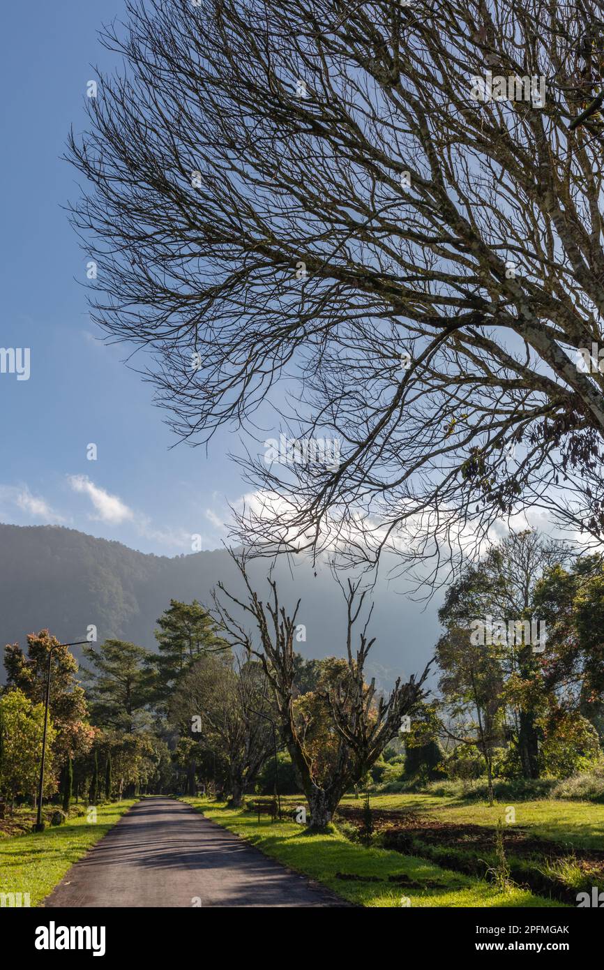 Handara bali hi-res stock photography and images - Alamy