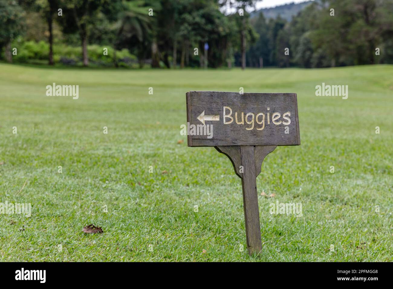 Buggy parking sign at a golf resort, Bedugul, Gianyar, Bali, Indonesia ...