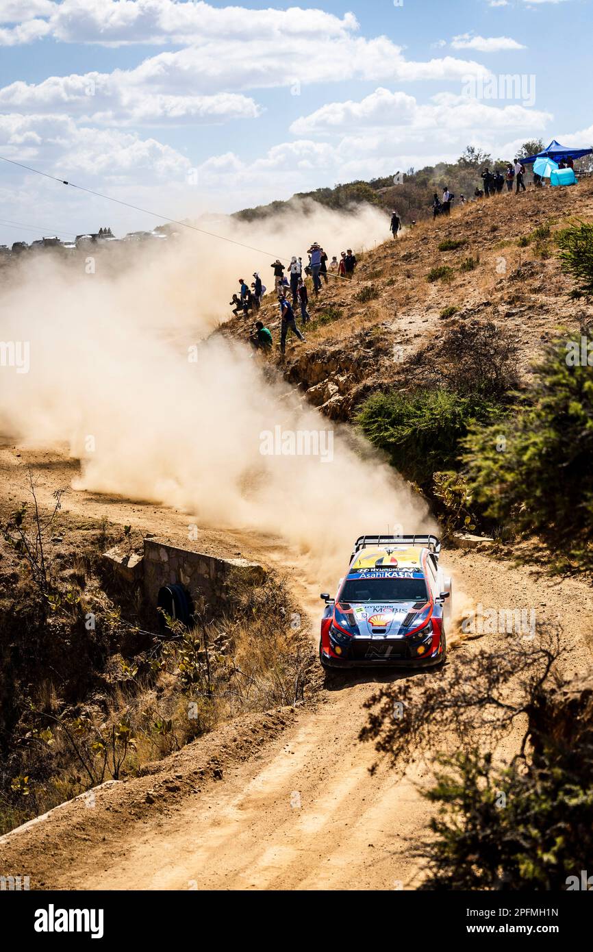 Leon, Mexique. 17th Mar, 2023. 11 Thierry NEUVILLE (BEL), Martijn ...