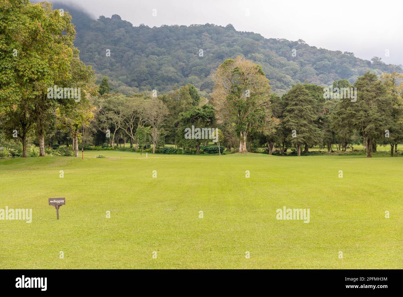 Buggy parking sign at a golf resort, Bedugul, Gianyar, Bali, Indonesia ...