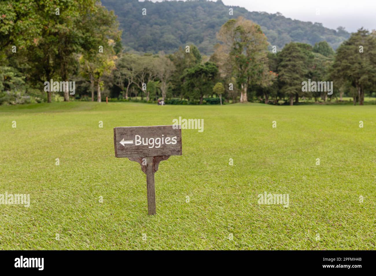 Buggy parking sign at a golf resort, Bedugul, Gianyar, Bali, Indonesia ...