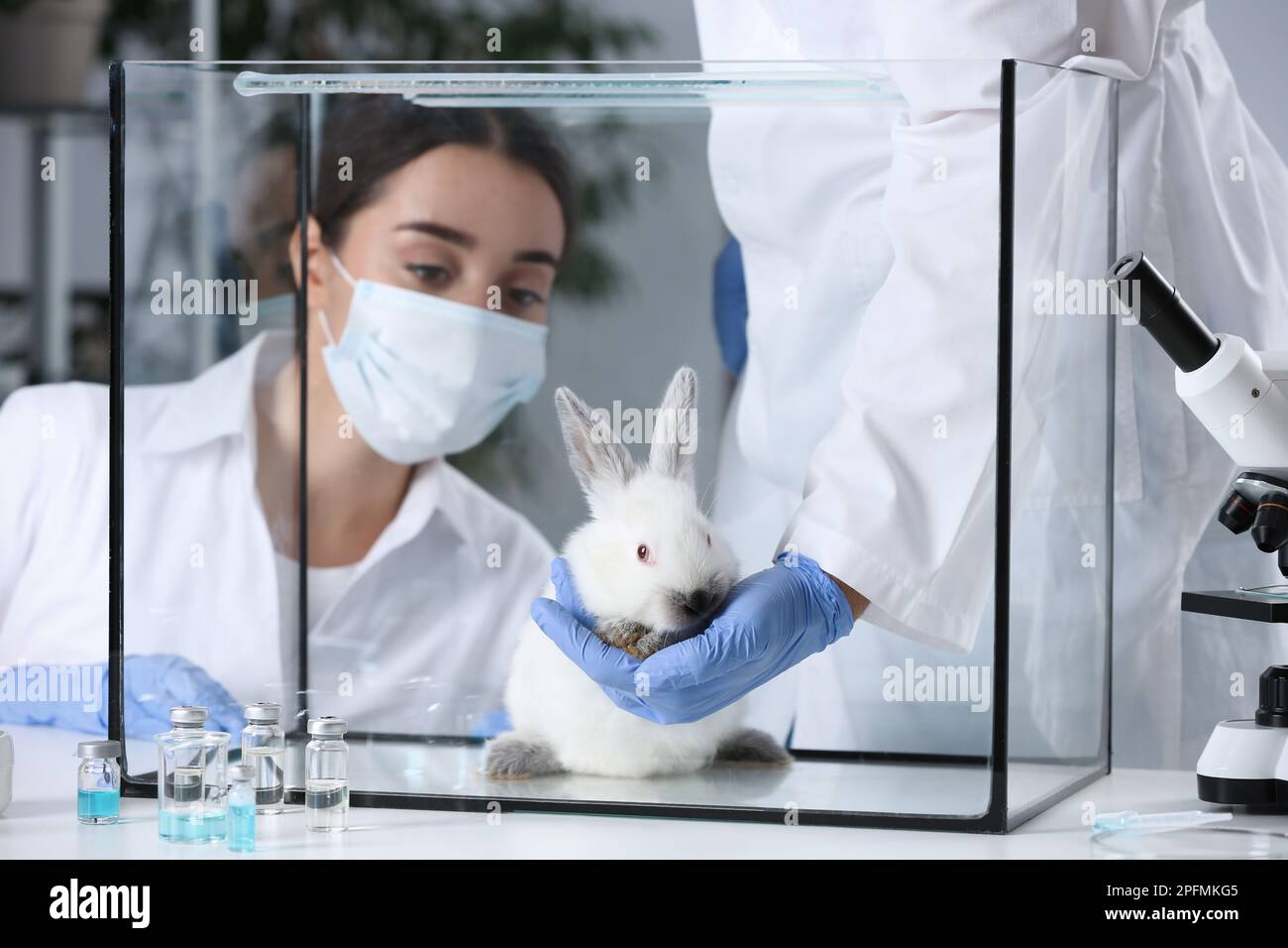 Observing animal laboratory hi-res stock photography and images - Alamy