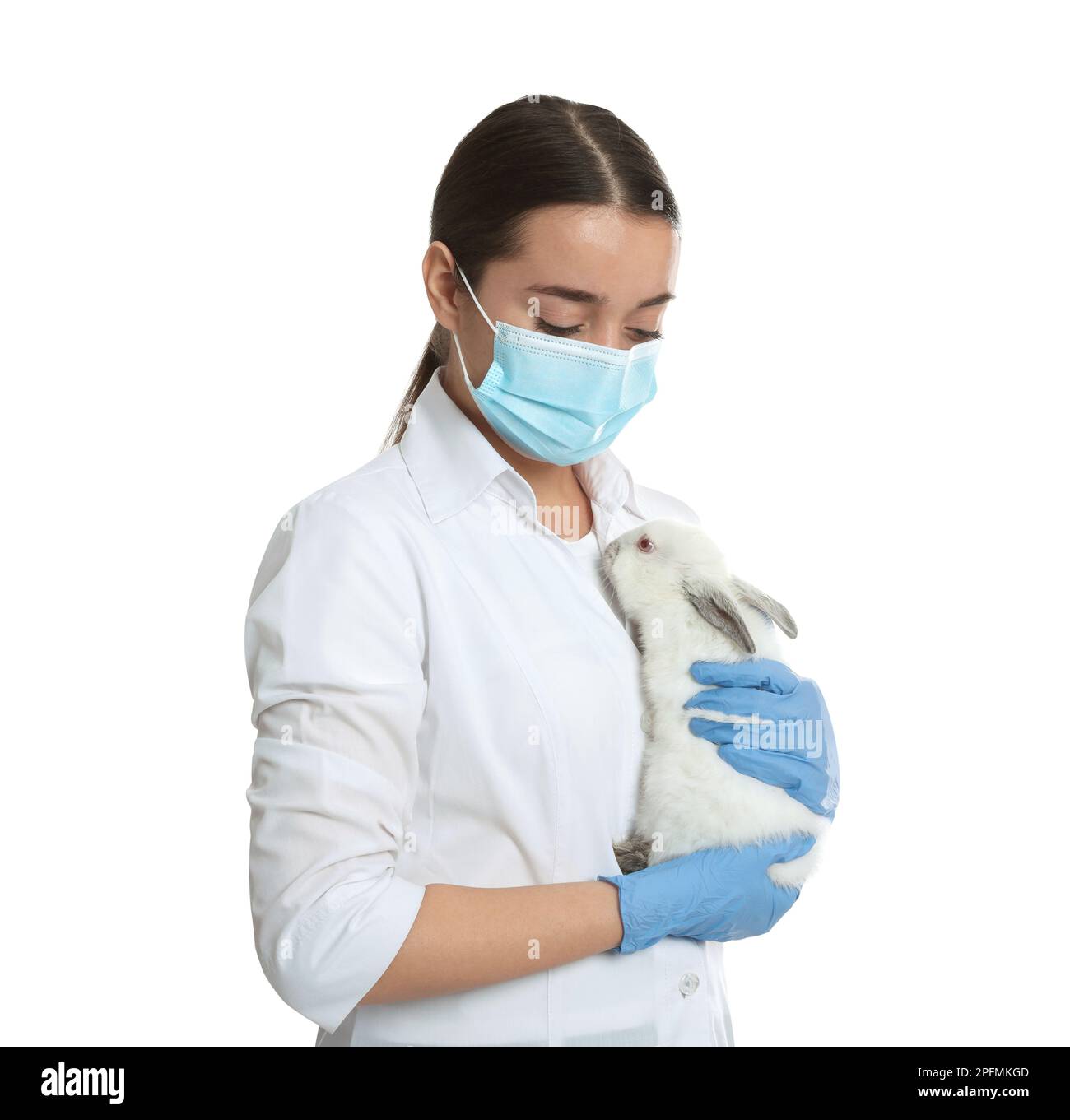 Rabbit adult laboratory hi-res stock photography and images - Alamy