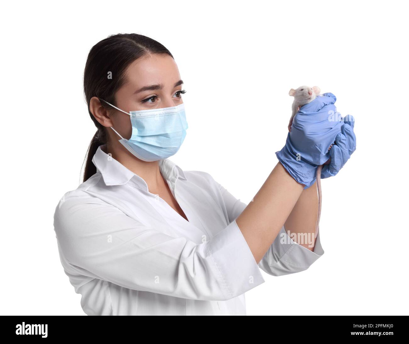 White lab lab rat testing hi-res stock photography and images - Alamy