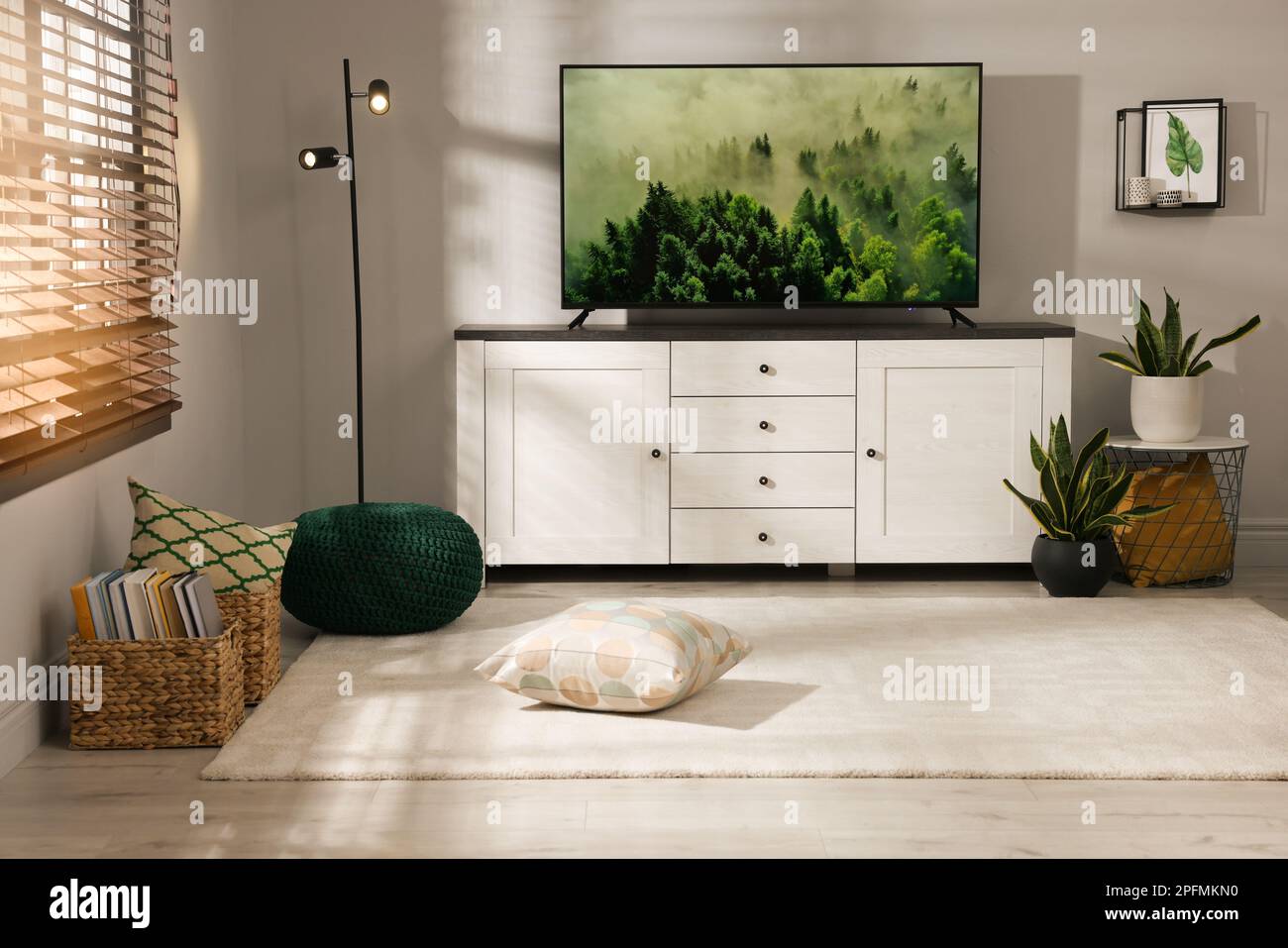 Cozy room interior with stylish furniture, decor elements and TV set ...