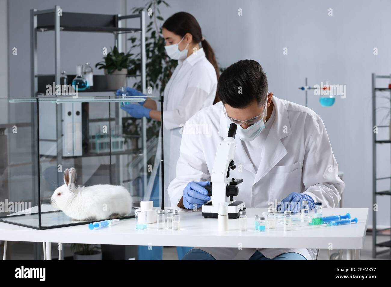 Veterinary scientists hi-res stock photography and images - Alamy