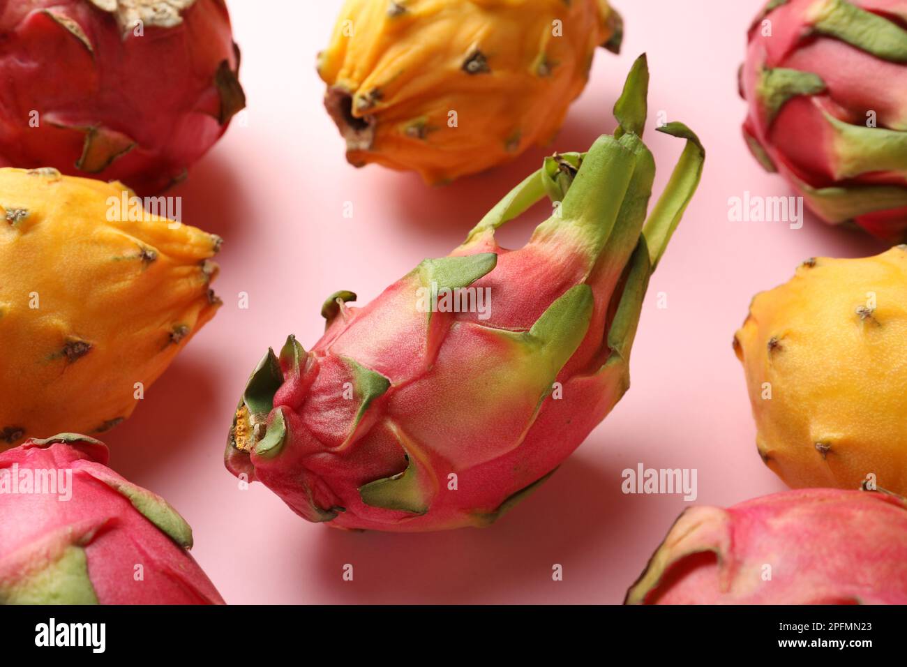 Different pitahaya fruits on light pink background, closeup Stock Photo ...