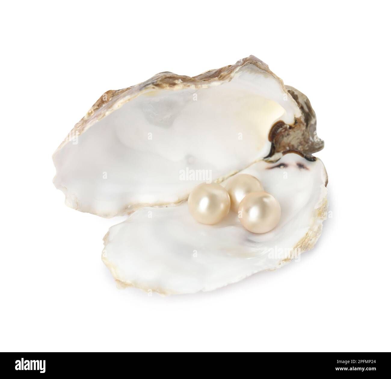 Open oyster shell with pearls on white background Stock Photo - Alamy