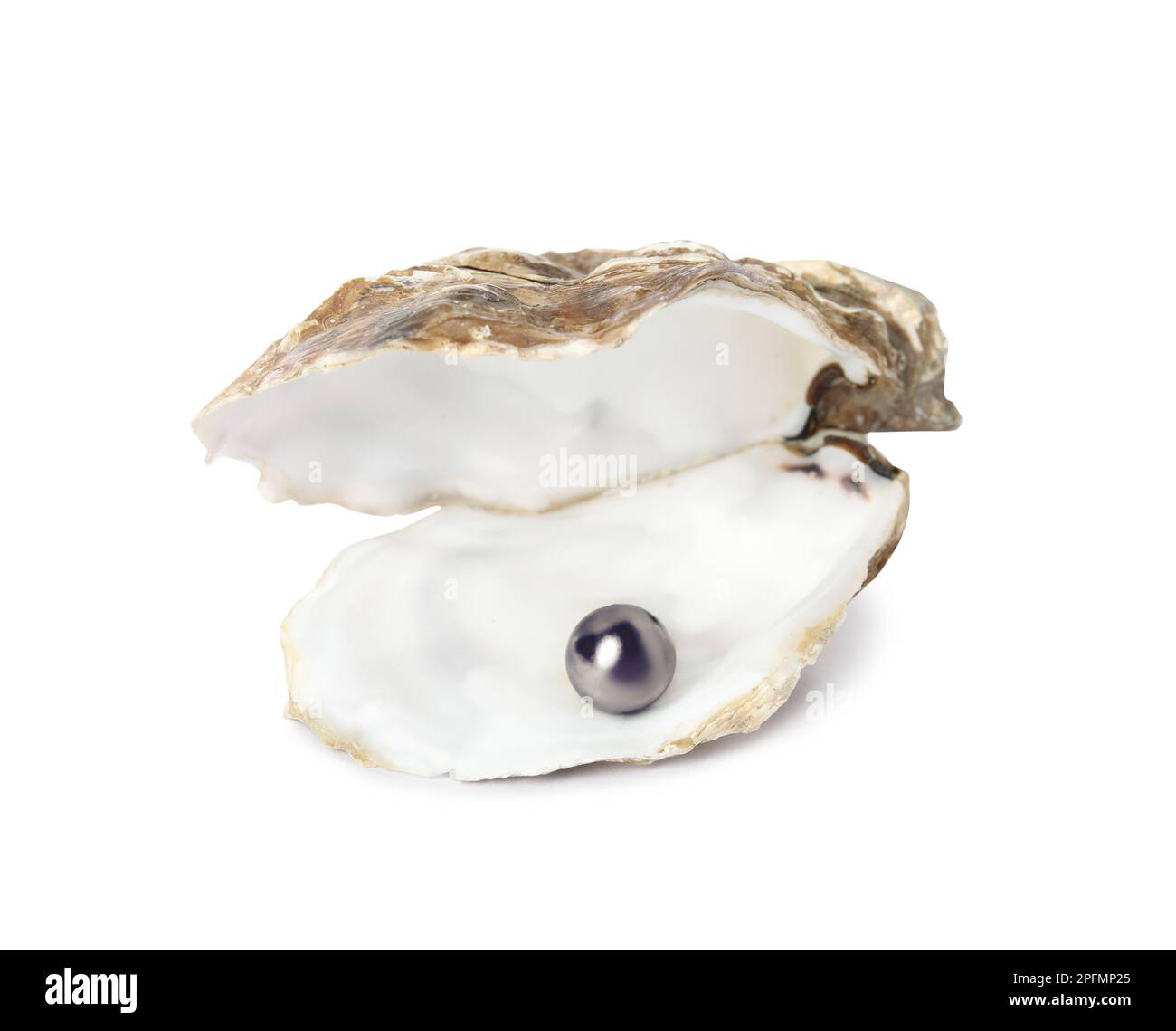 Open oyster shell with black pearl on white background Stock Photo - Alamy