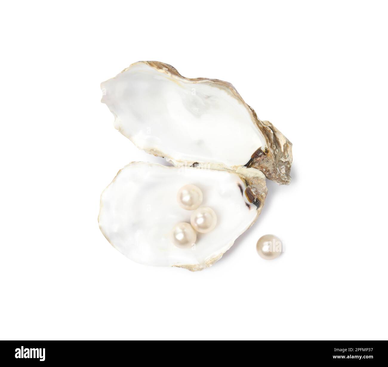 Open oyster shell with pearls on white background Stock Photo - Alamy