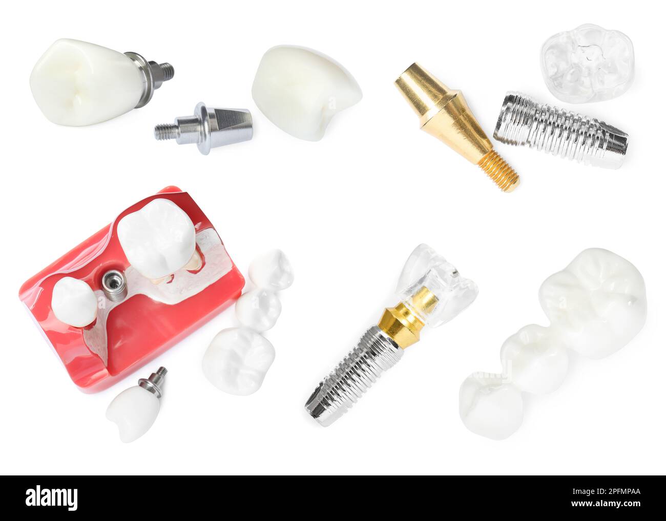 Educational models of dental implants on white background, top view ...