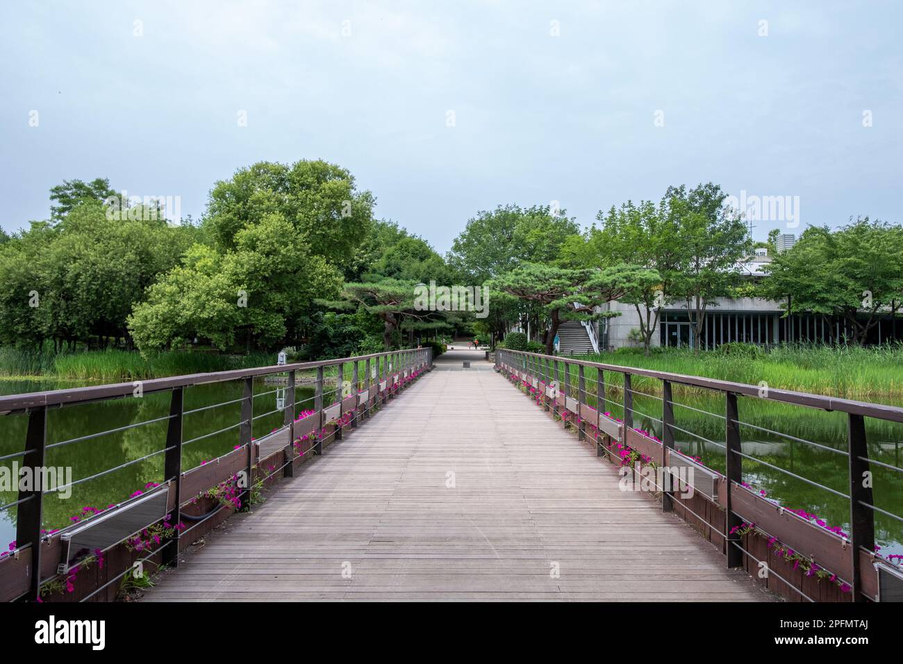 Bridge walkway with summer landscape. Seoul Forest in Seoul, South ...