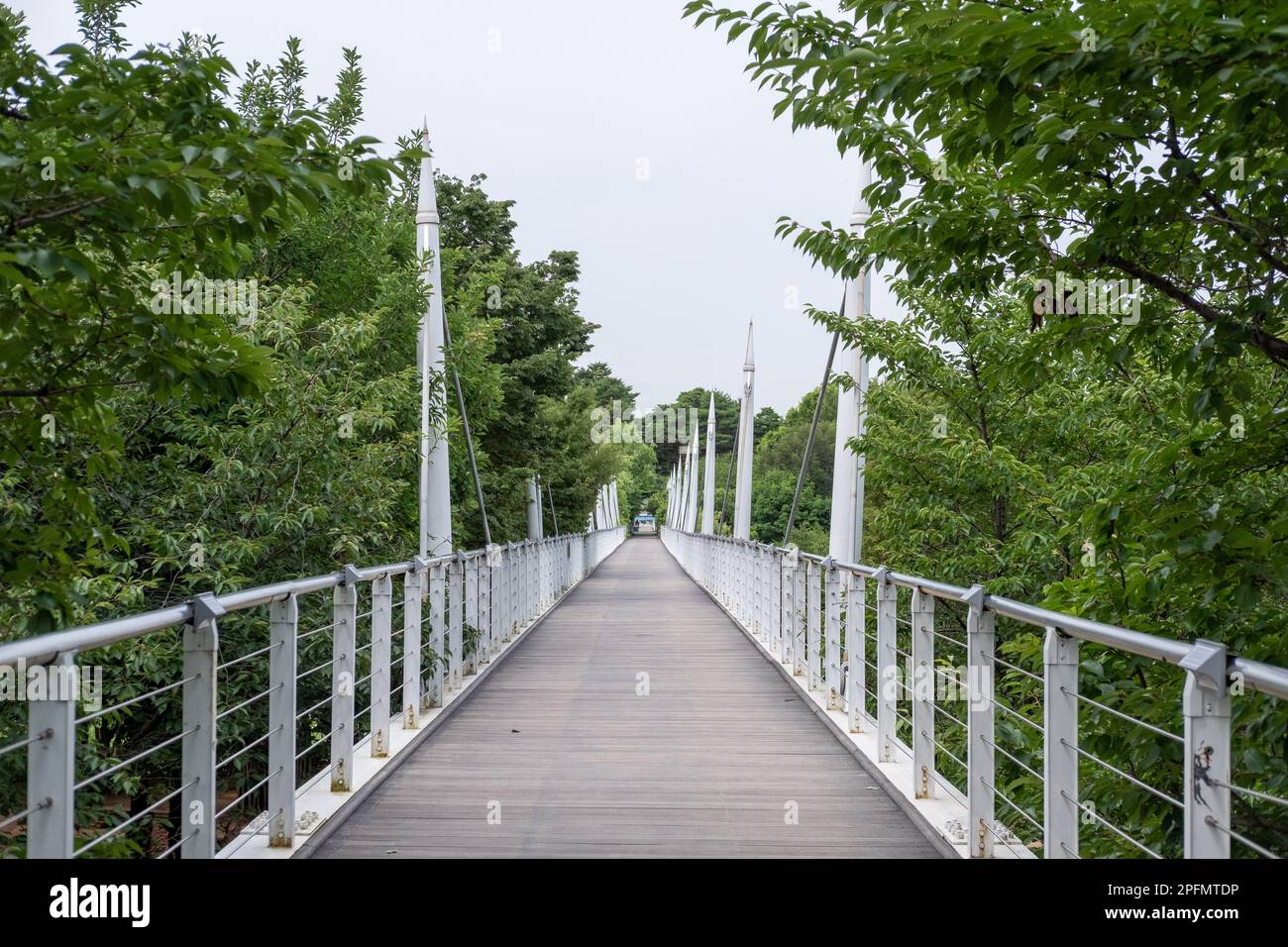 Bridge walkway with summer landscape. Seoul Forest in Seoul, South ...