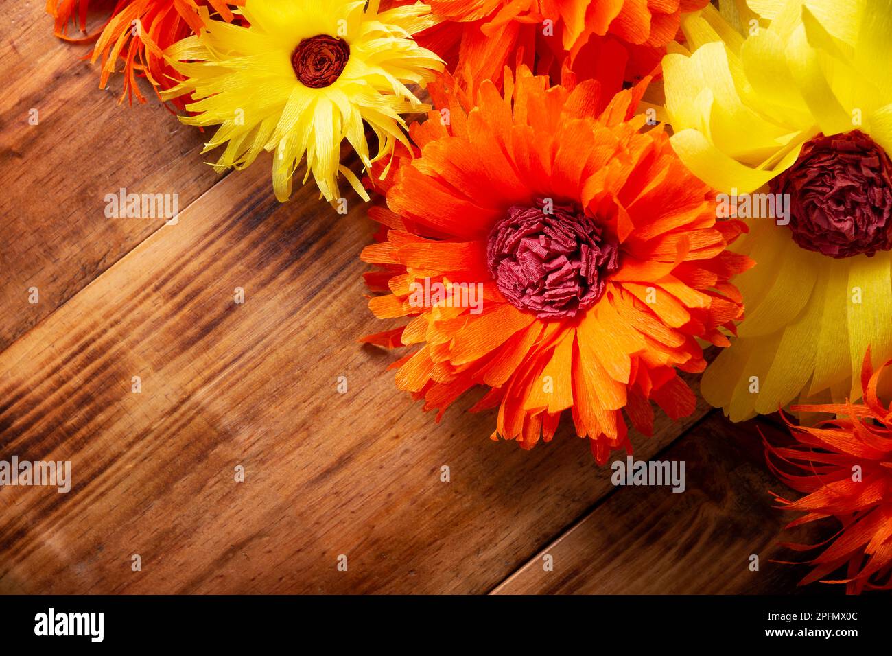 Multi colored flower border hi-res stock photography and images - Alamy