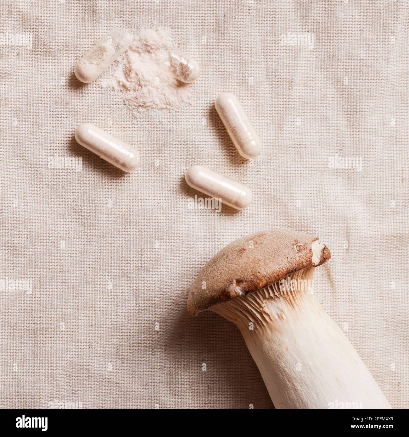 mushrooms and natural herbal pills on textile gray background ...
