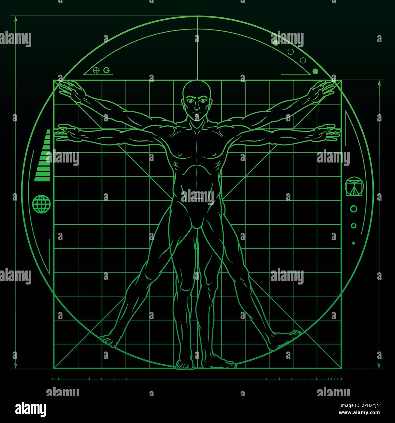 Vitruvian Man Manikin