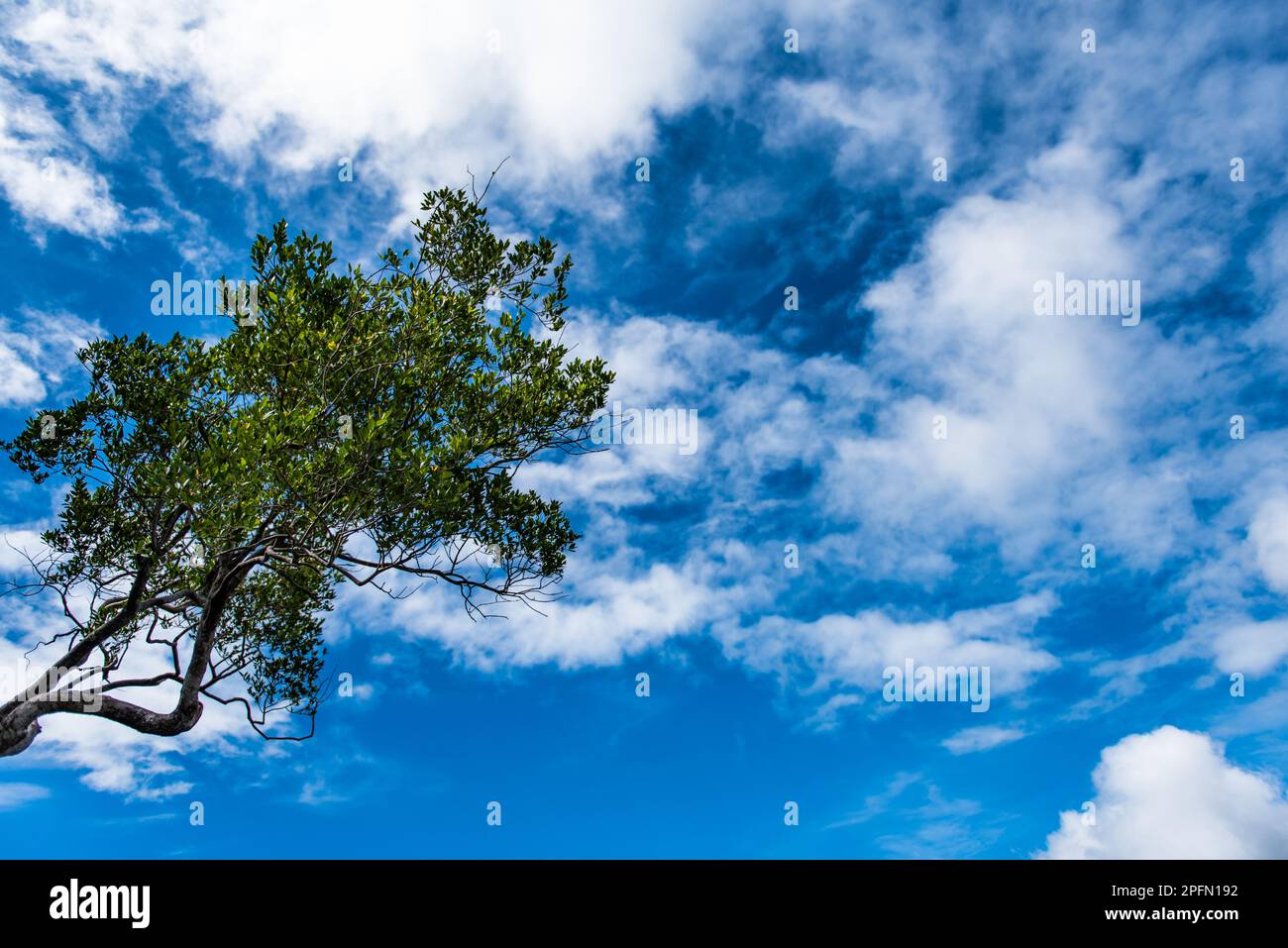 Strong textures hi-res stock photography and images - Alamy