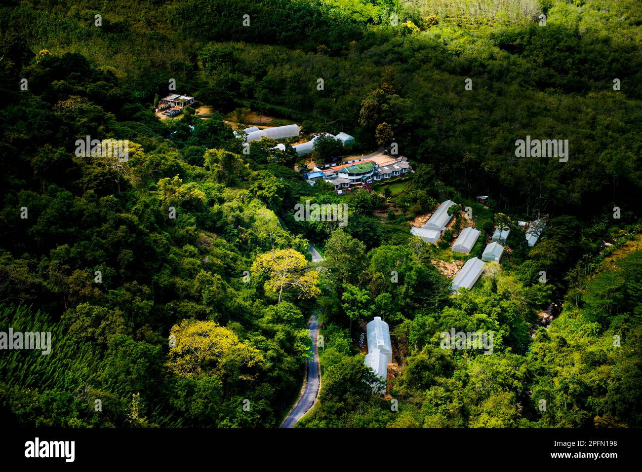 View from the top of Diyaluma Waterfall, Sri Lanka Stock Photo - Alamy