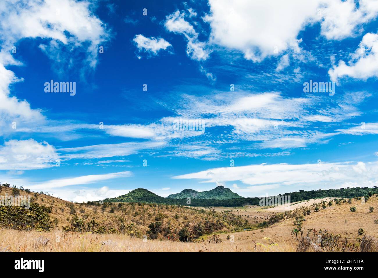 Wildlife of horton plains hi-res stock photography and images - Alamy
