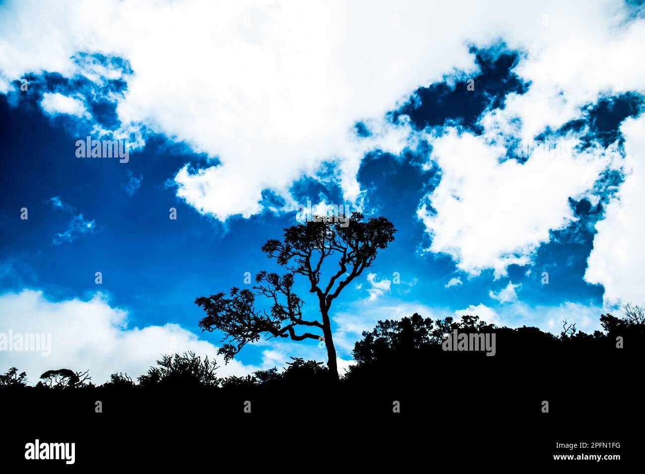 Cloudtextures hi-res stock photography and images - Alamy