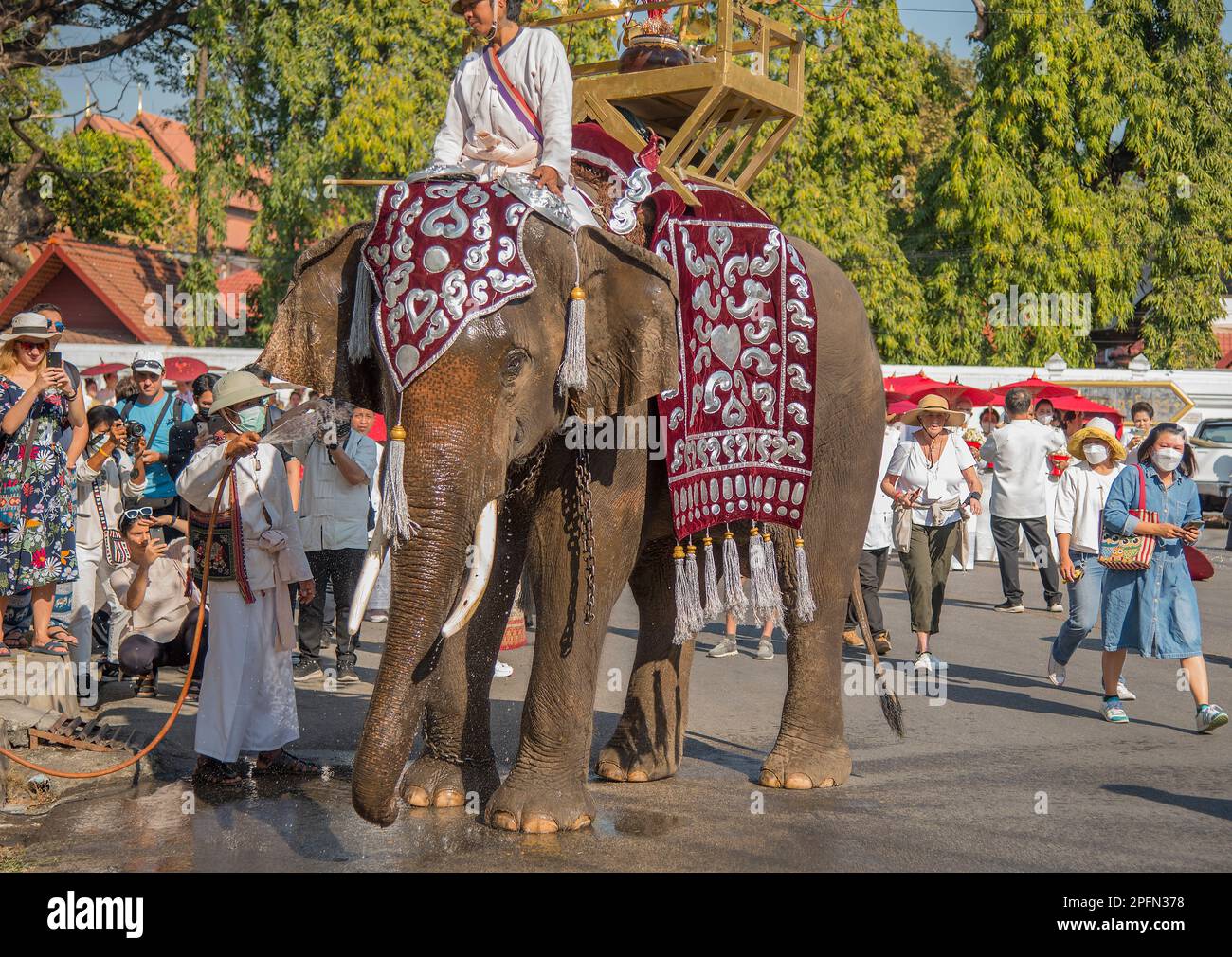 Ceremonial thai elephant hi-res stock photography and images - Alamy