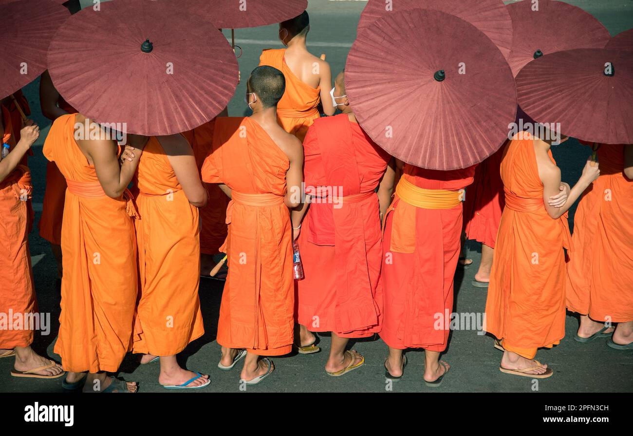 Buddhist monks with umbrellas at a temple ceremony Chiang Mai, Thailand ...