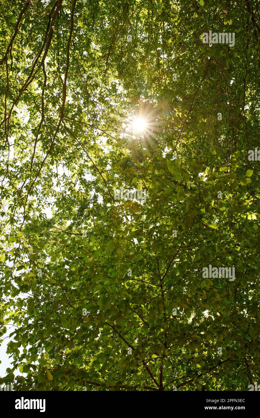 Countryside, farmland and forest - close to Lyon, France. A series of ...