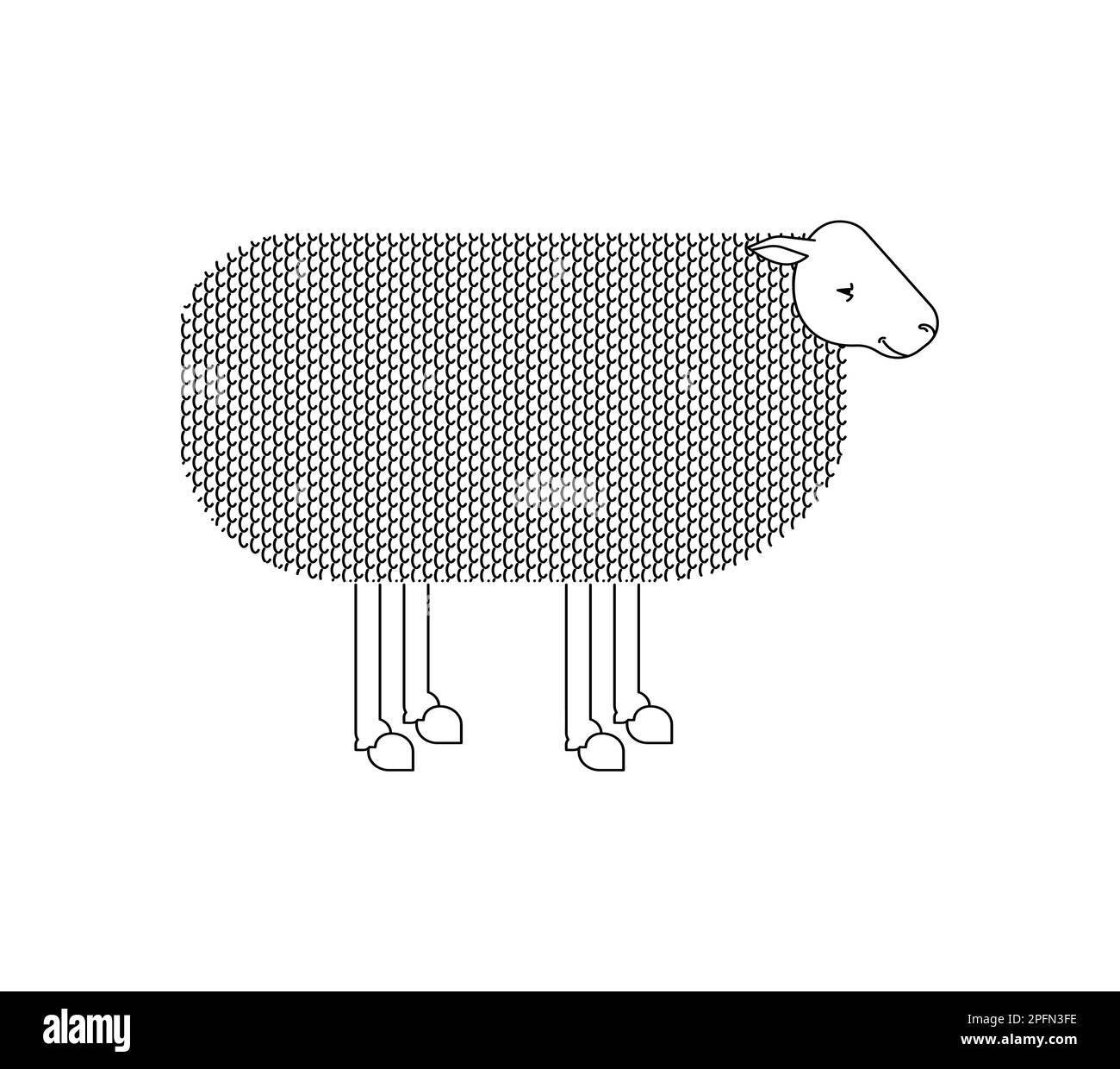 Sheep linear illustration. ewe isolated. Vector illustration Stock ... Sheep linear illustration. ewe isolated. Vector illustration Stock ...