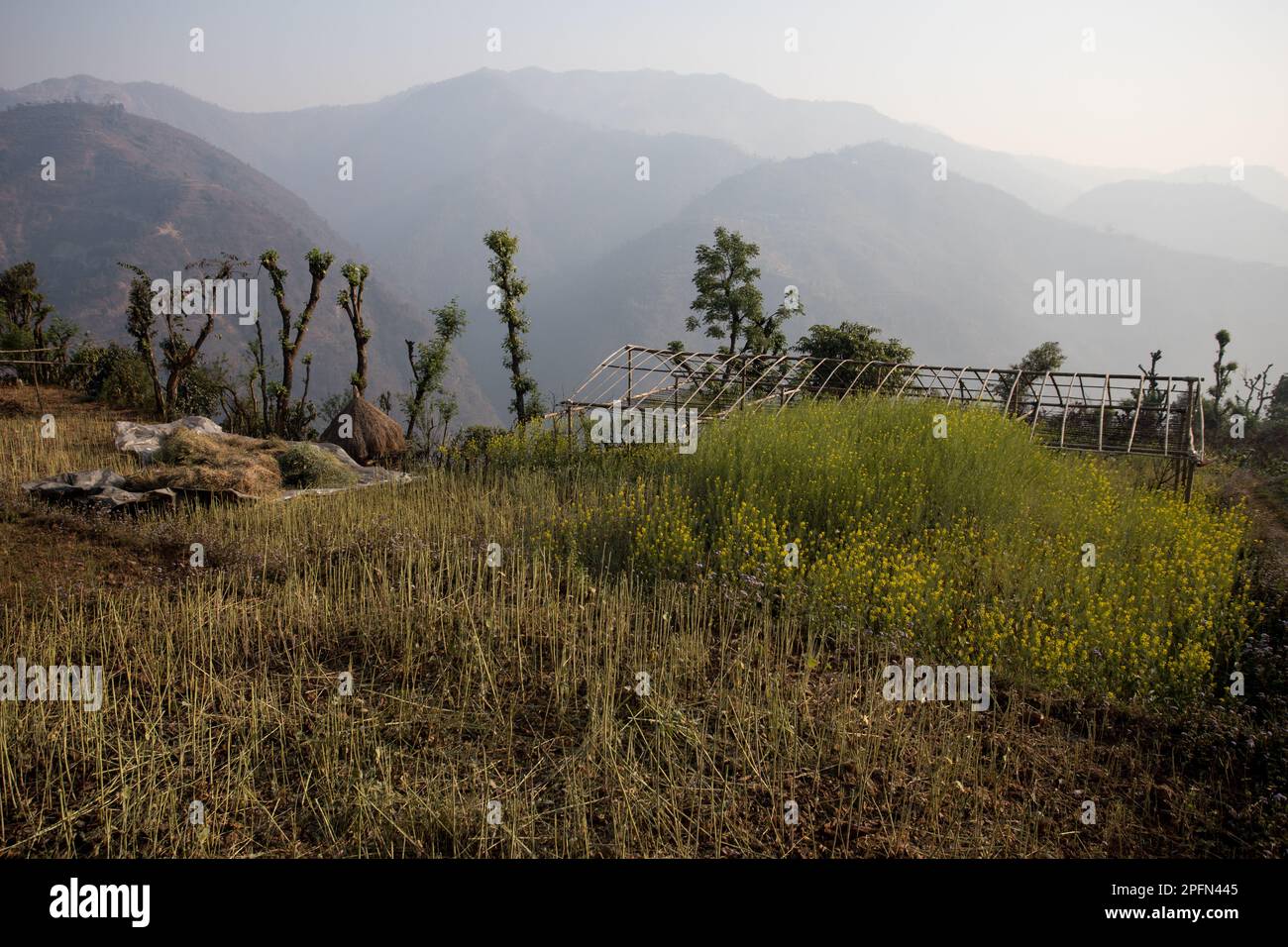Chepang Hills Trek in Nepal Stock Photo - Alamy
