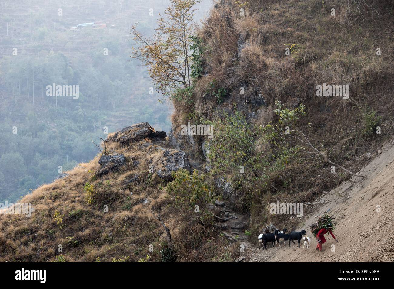 Chepang Hills Trek in Nepal Stock Photo - Alamy