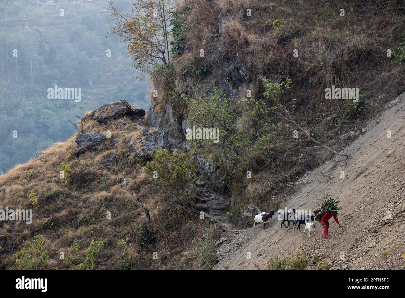 Chepang Hills Trek in Nepal Stock Photo - Alamy