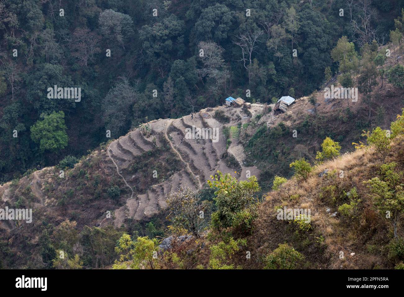 Chepang Hills Trek in Nepal Stock Photo - Alamy