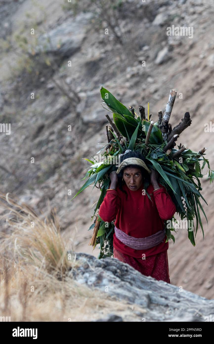Chepang Hills Trek in Nepal Stock Photo - Alamy