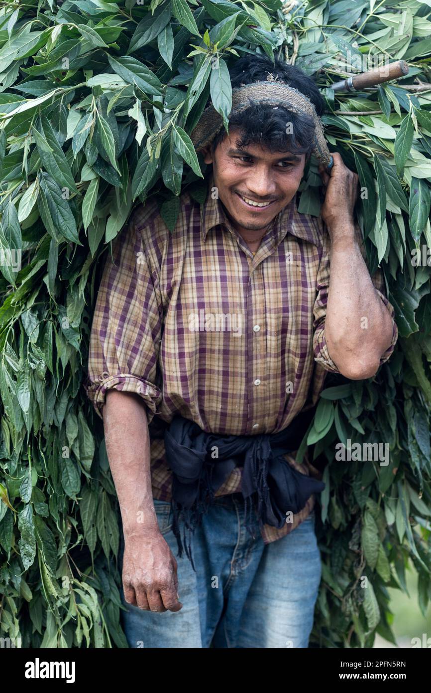 Chepang Hills Trek in Nepal Stock Photo - Alamy